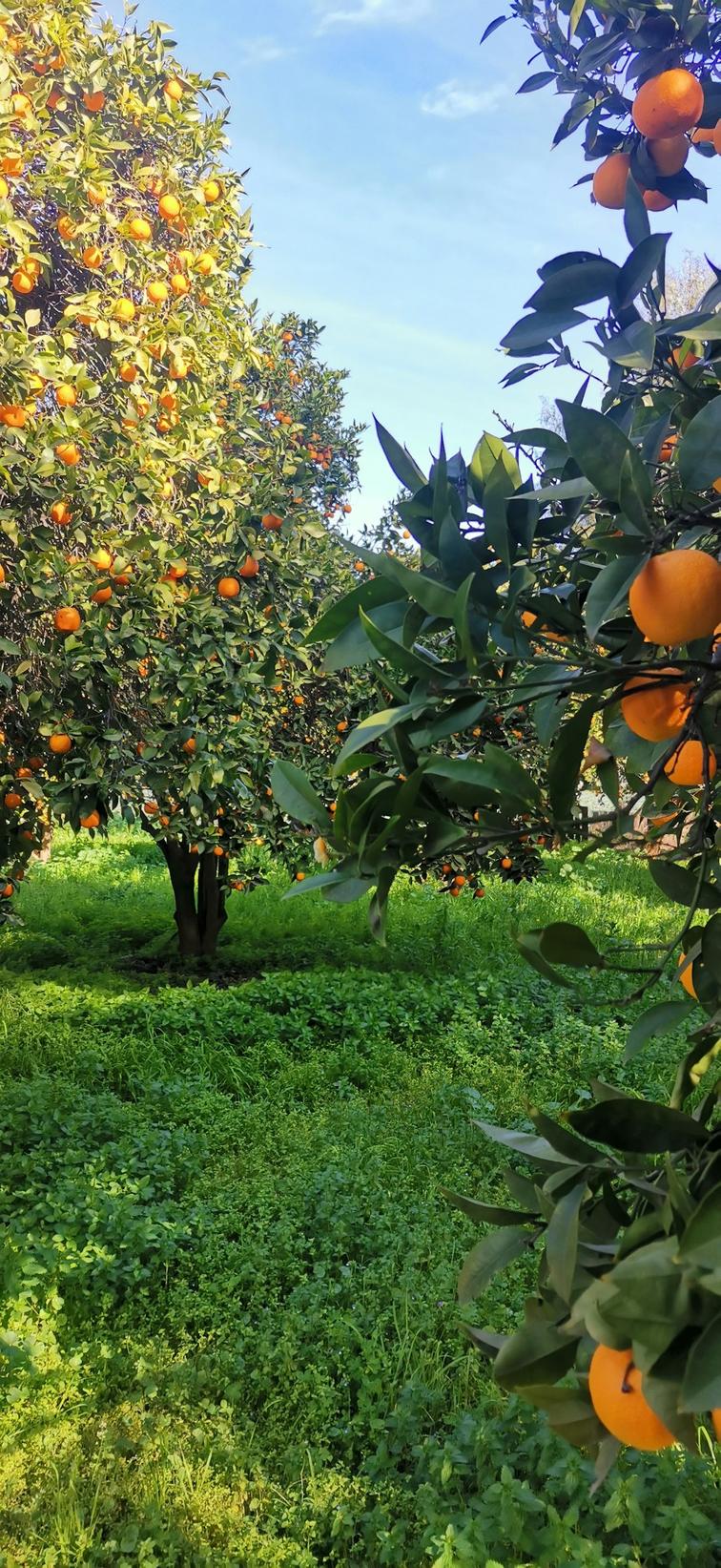 14 Remarkable Things to do in Melipilla - you shouldn't be missing ...