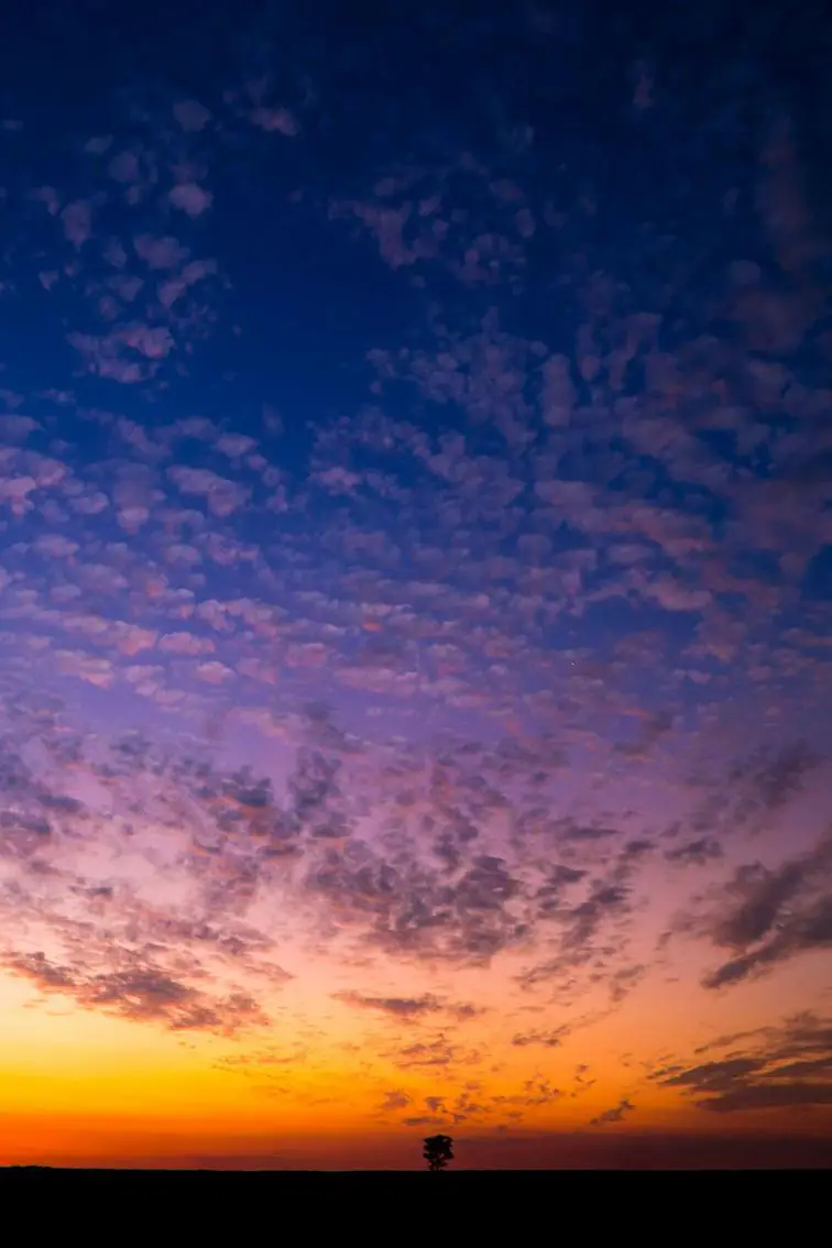 15 Remarkable Things to do in Santa Bárbara d'Oeste - you shouldn't be ...