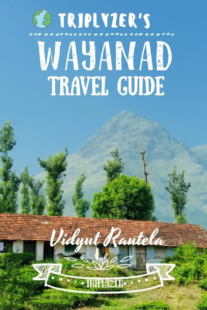 Wayanad Solo Trip » 2025 » [by a TRAVEL BLOGGER ]